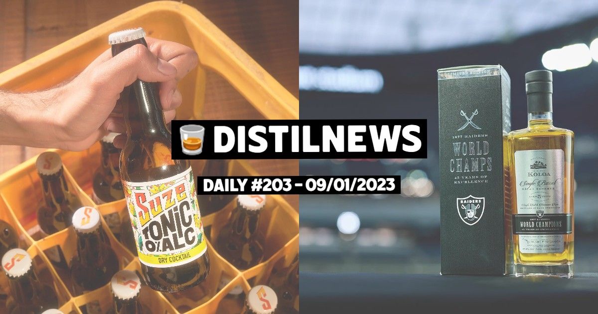 DistilNews Daily #203